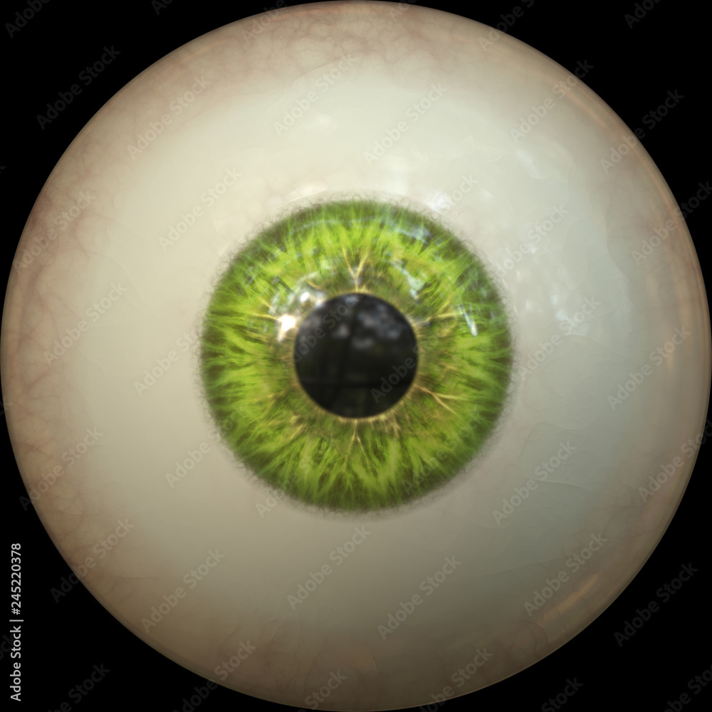green human eye pupil iris eyeball Stock Illustration | Adobe Stock