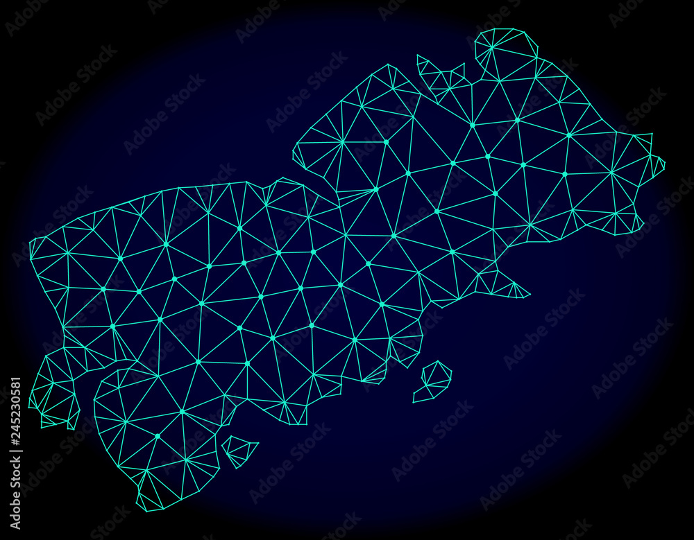 Polygonal vector mesh map of Shikotan Island. Connected lines ...