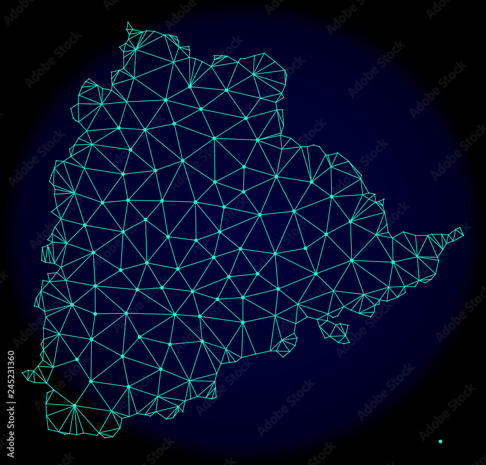 Polygonal vector mesh map of Telangana State. Connected lines ...