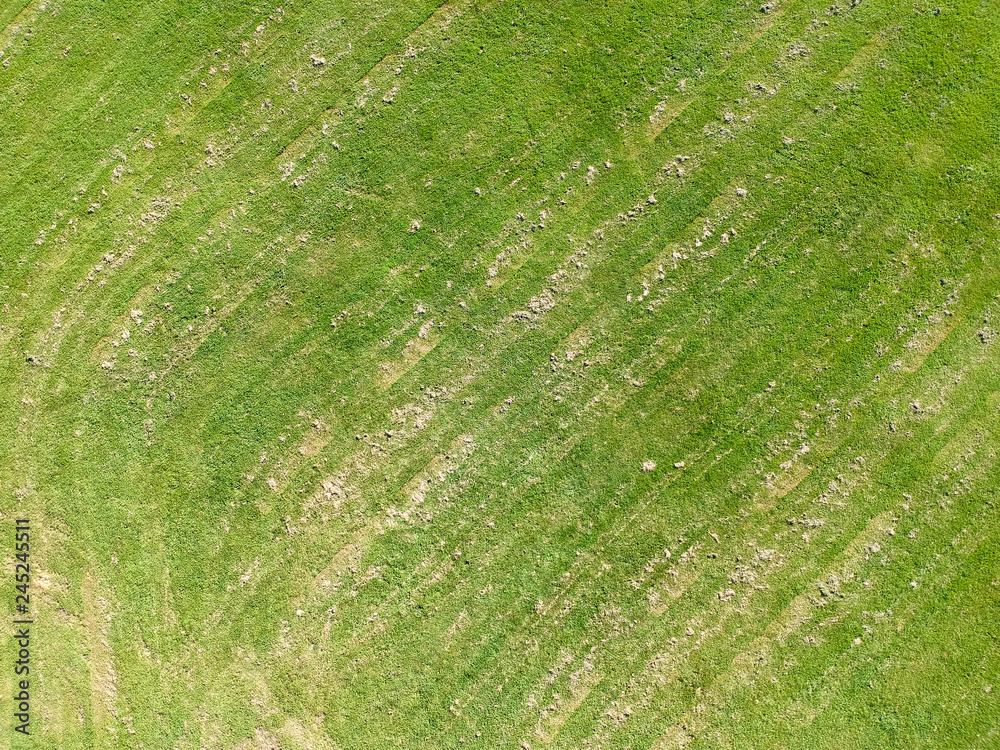 Green grass texture. Aerial green lawn grass. Football or soccer field ...