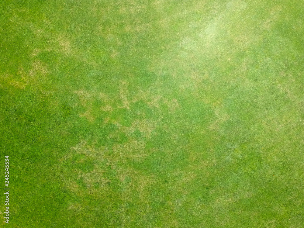 Green grass texture. Aerial green lawn grass. Football or soccer field ...