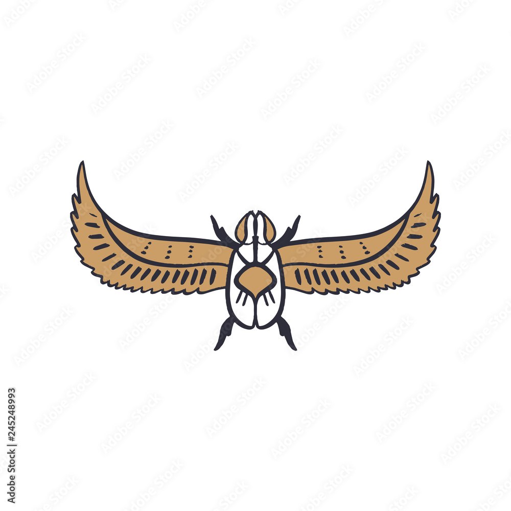 Ancient Egypt symbol, beetle icon. Element, outline image, line art ...