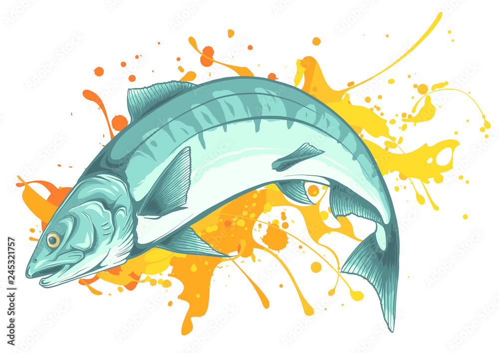 Salmon fish jumping vector illustration Stock Vector | Adobe Stock