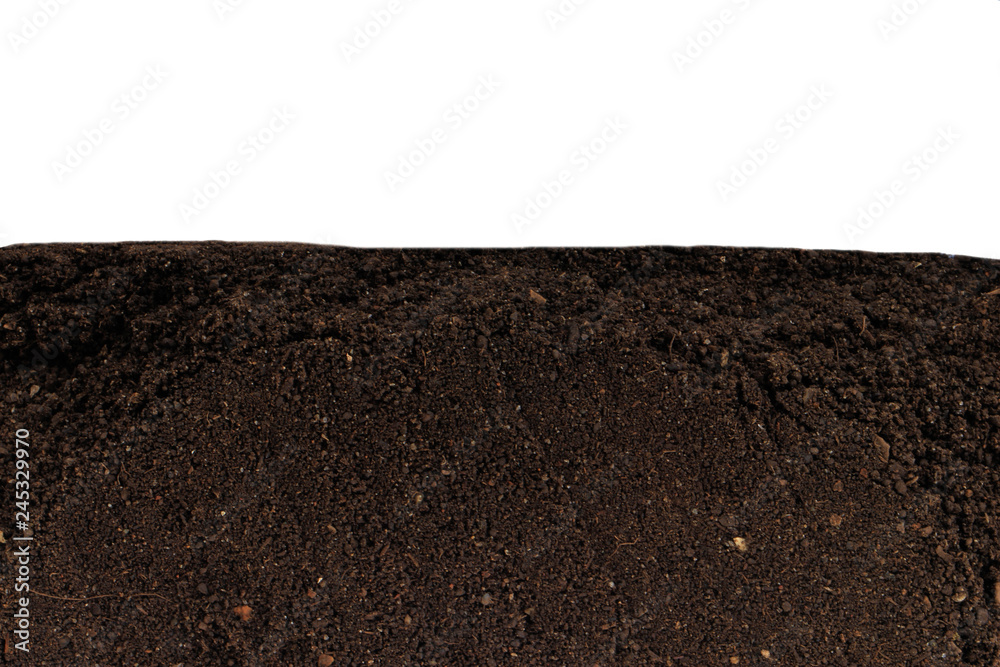 ground isolated on white background Stock Photo | Adobe Stock