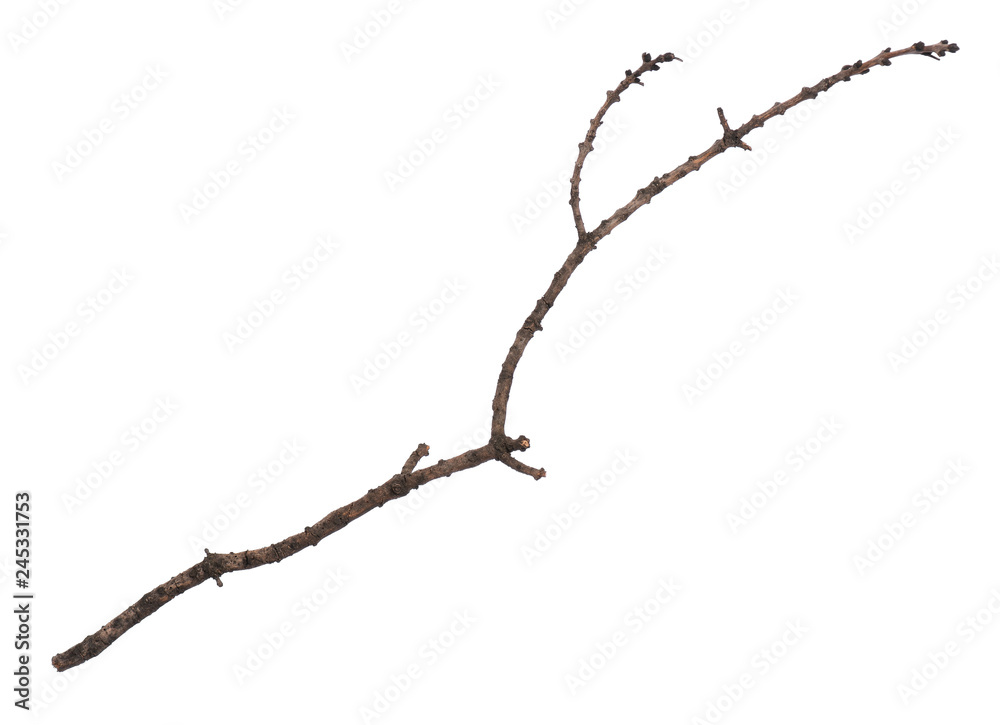 Wooden Branch Stick