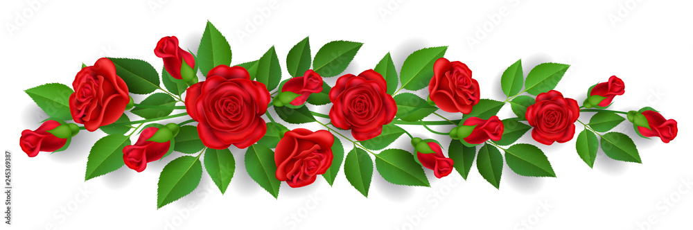Horizontal banner with red rose flower, bud and green leaf. Vector ...