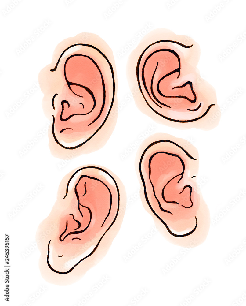 Different Types Of Ear Shapes