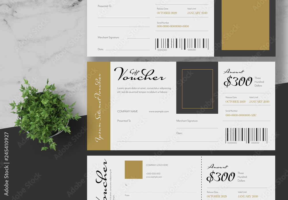 Gift Voucher Layout with Gold Accents Stock Template | Adobe Stock