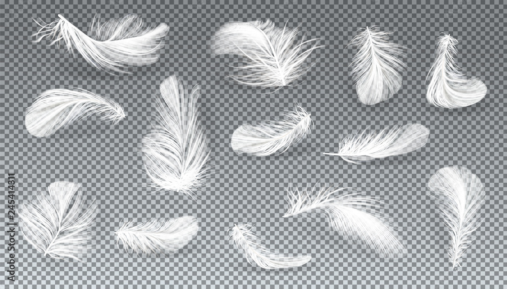 Vector 3d realistic set of white bird or angel feathers in various ...