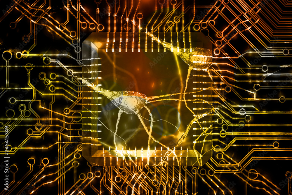 neuronal networks biotechnology neurons circuits bioinformatics neural ...