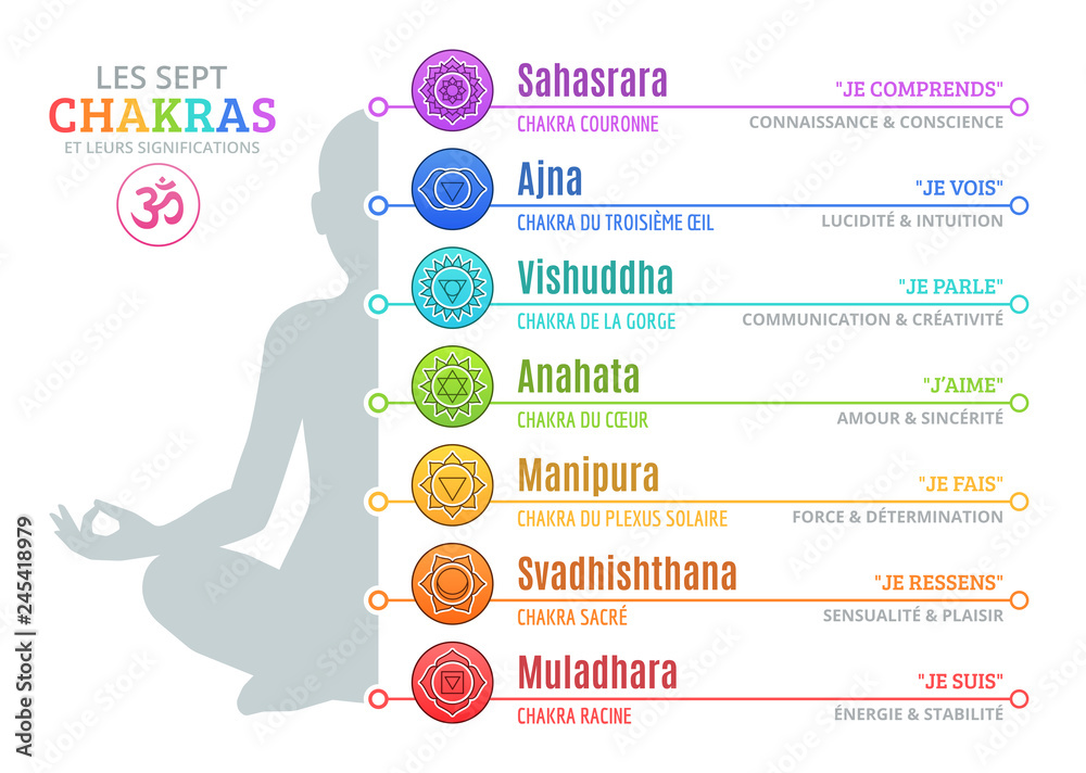 Les Sept Chakras et leurs significations Stock Vector | Adobe Stock