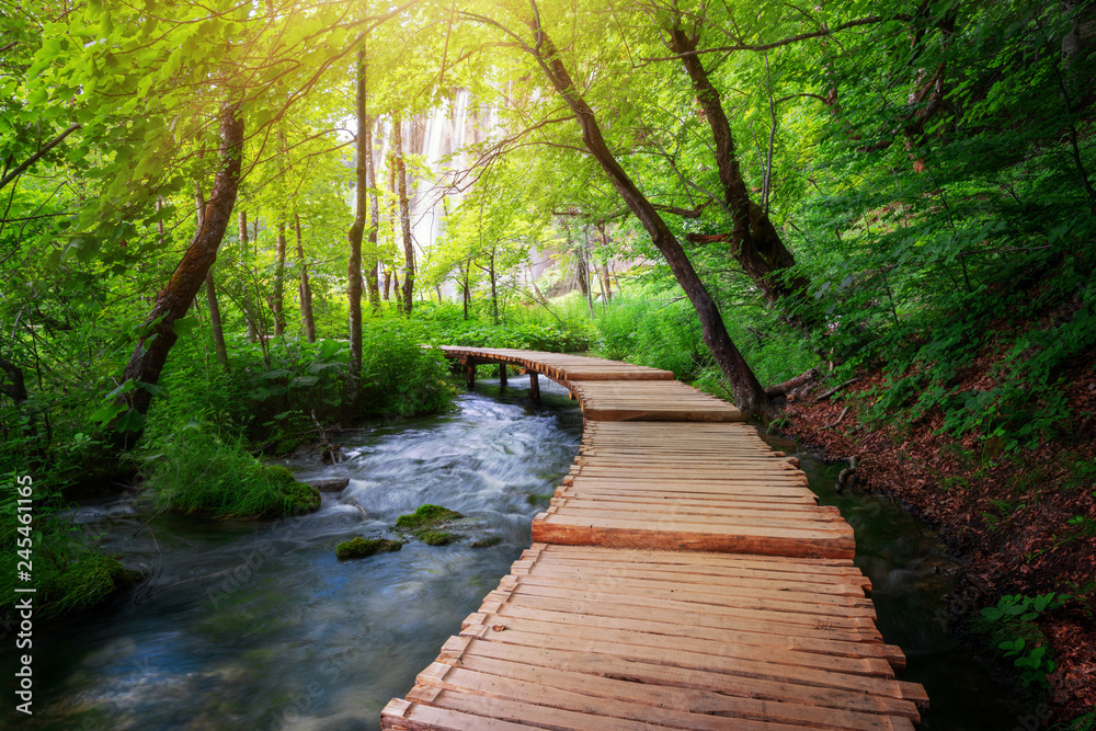Beautiful wooden path trail for nature trekking with lakes and ...