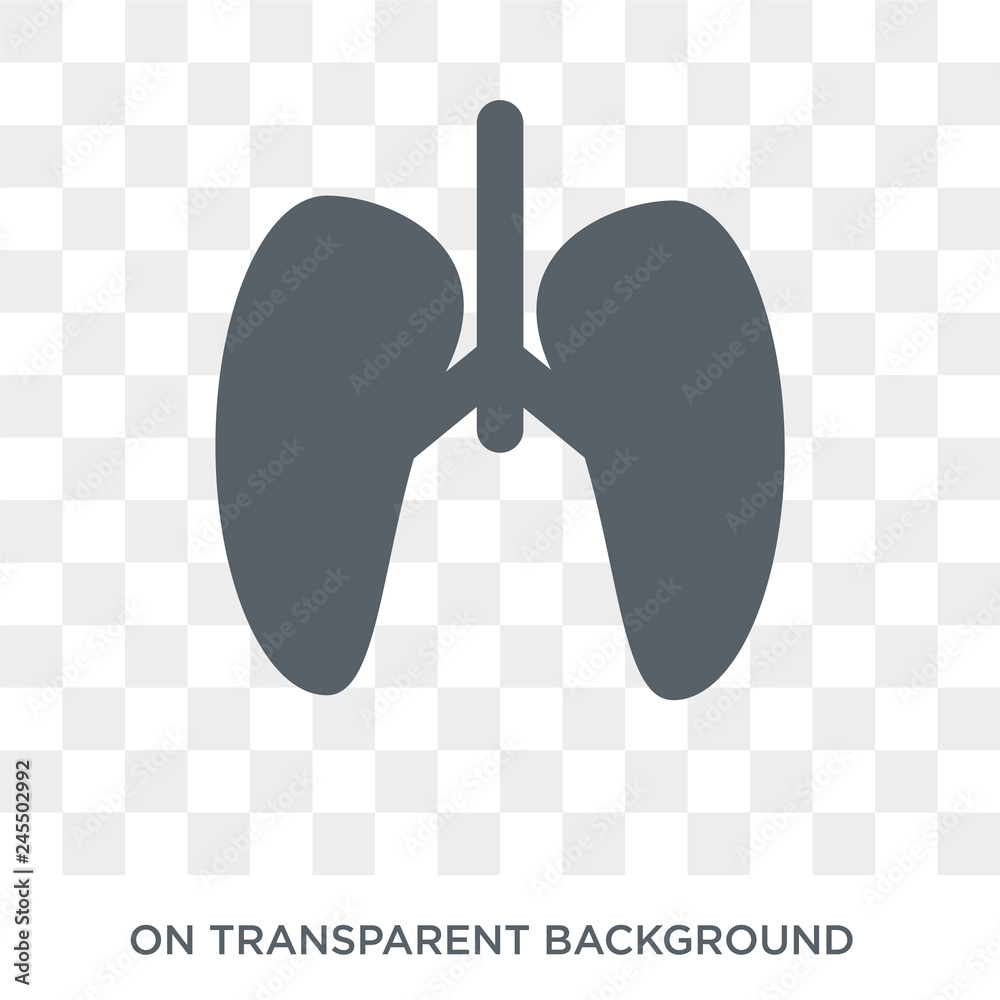 Respiration icon. Trendy flat vector Respiration icon on transparent ...
