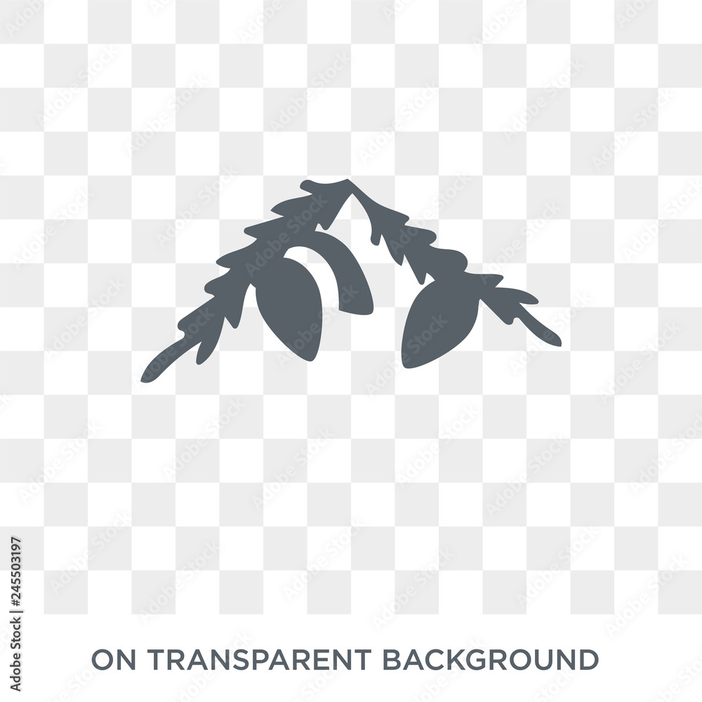 Hemlock icon. Trendy flat vector Hemlock icon on transparent background ...