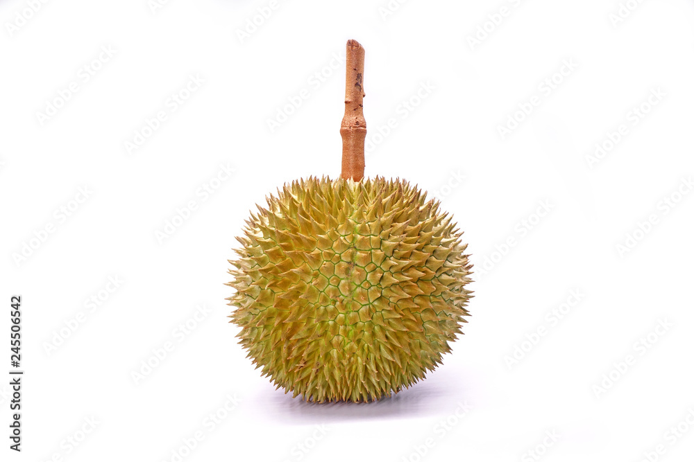 Durian the famous fruit from Thailand, it also known as The King of ...