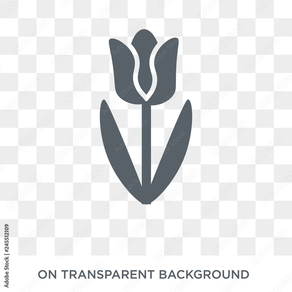 Tulip icon. Trendy flat vector Tulip icon on transparent background ...