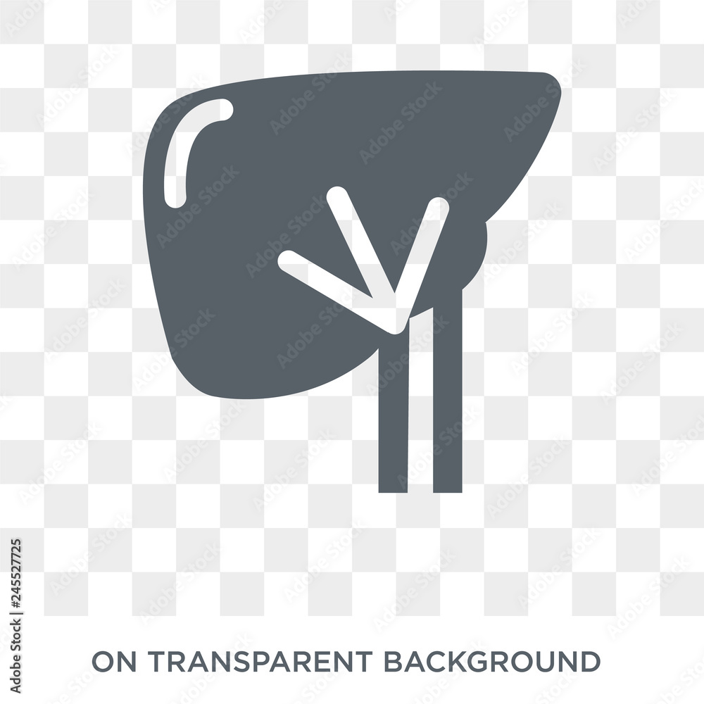 Human Liver icon. Trendy flat vector Human Liver icon on transparent ...