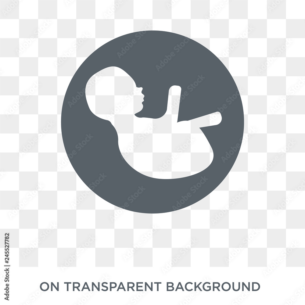 Human Fetus icon. Trendy flat vector Human Fetus icon on transparent background from Human Body ...