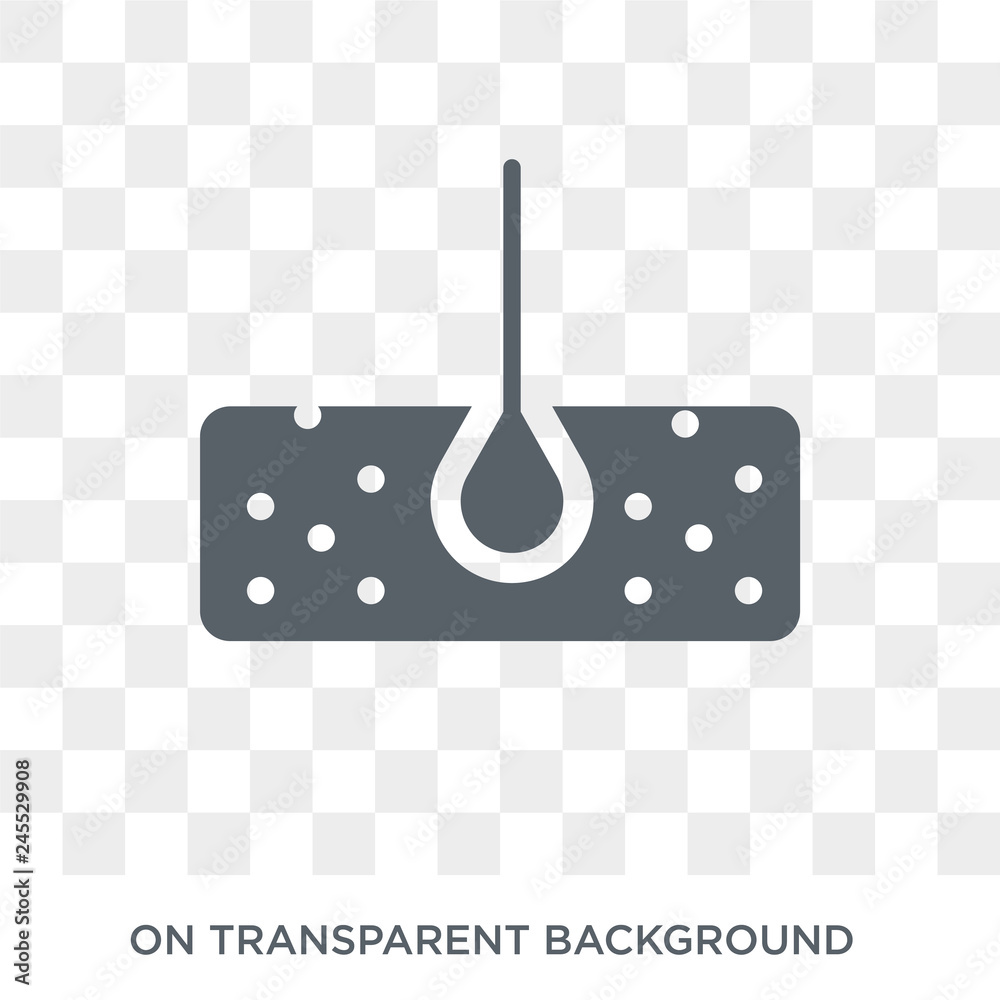 Epidermis icon. Trendy flat vector Epidermis icon on transparent ...