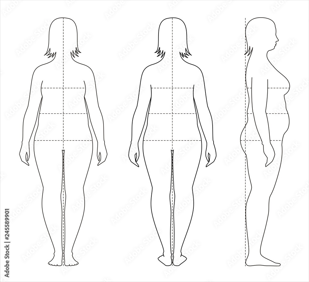 Female fat body lines and proportions for sewing Stock Vector | Adobe Stock