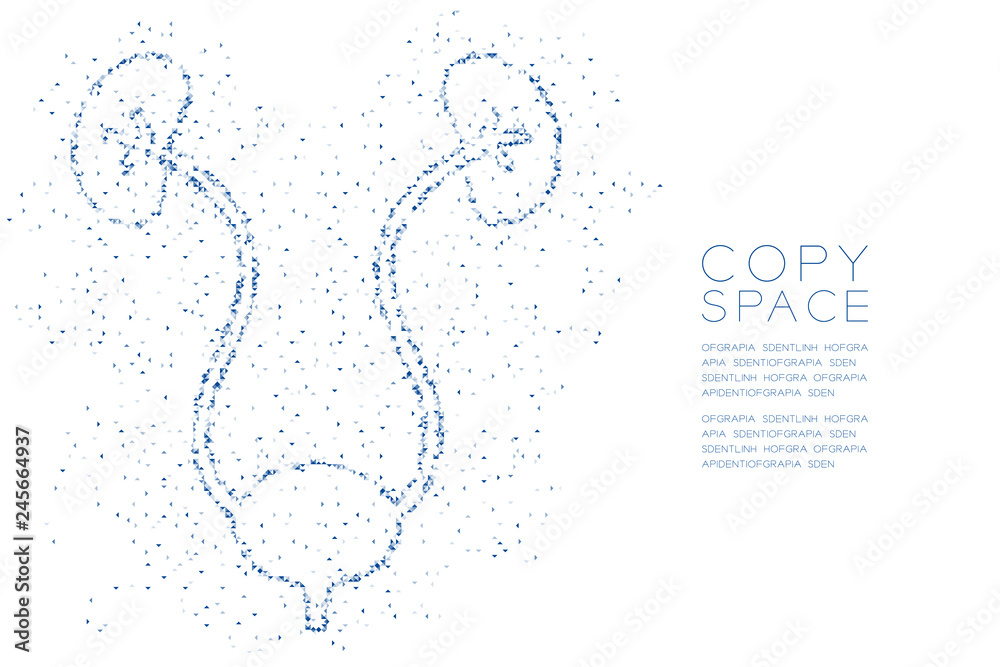 kidney and bladder shape Abstract Geometric polygon square box and ...