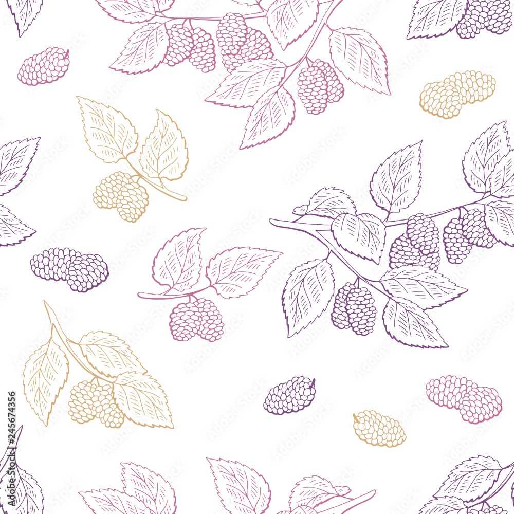 Mulberry berry branch graphic color seamless pattern background sketch ...