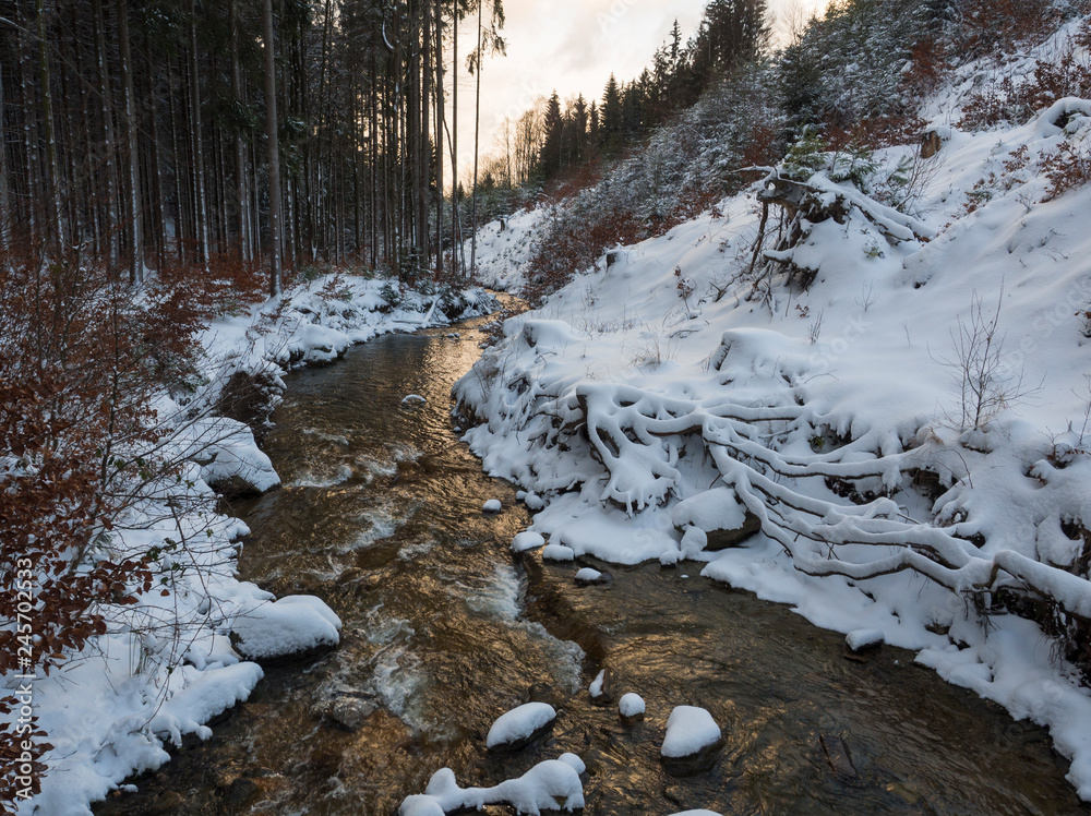 Forest Stream Winter