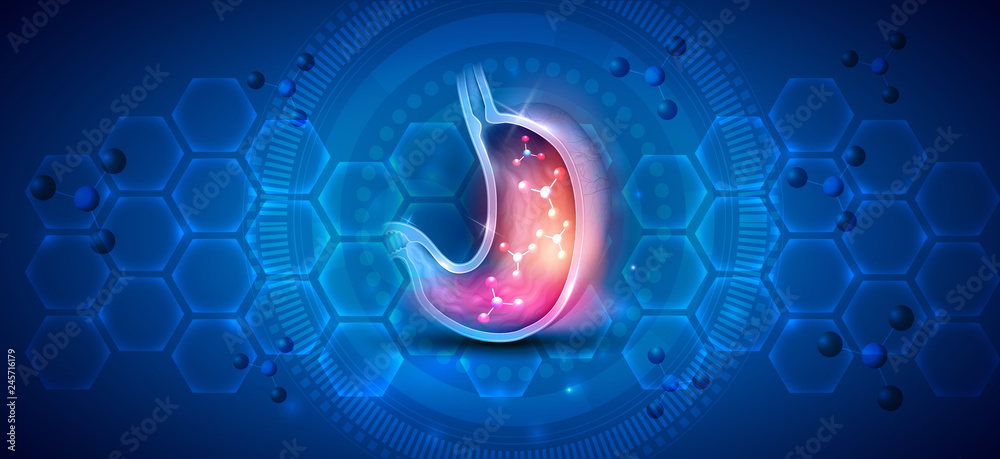 Human Stomach anatomy cross section on a beautiful blue scientific ...