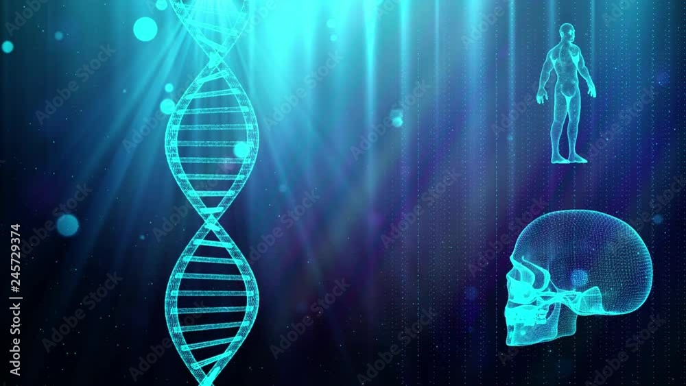 Medical background with DNA strand skull and human body Stock ビデオ ...