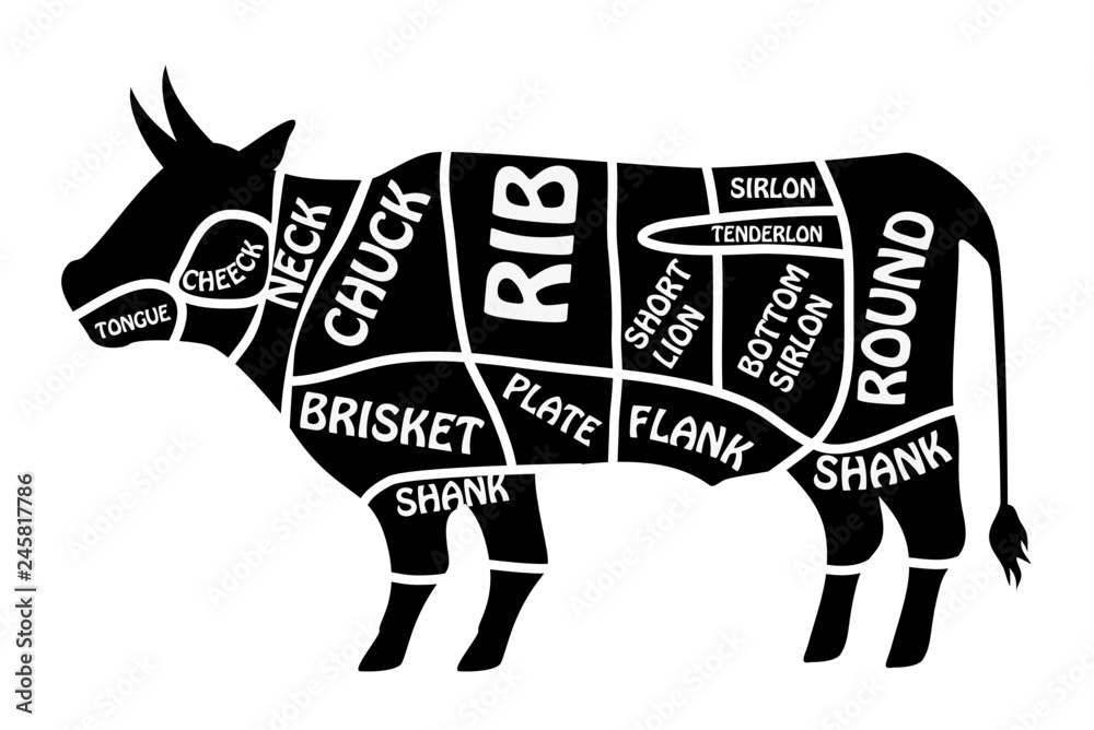 Beef chart. Poster Butcher diagram for groceries, meat stores, butcher ...