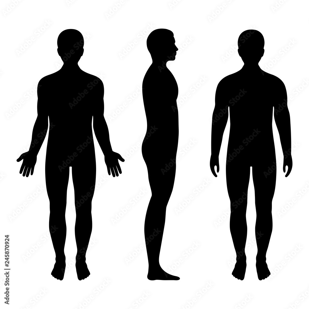 male silhouette front and side view on white background Stock Vector ...