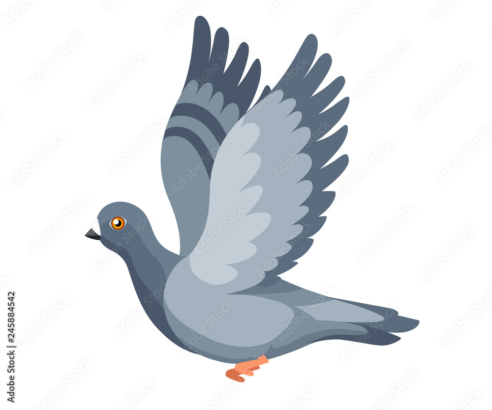 Flying Pigeon