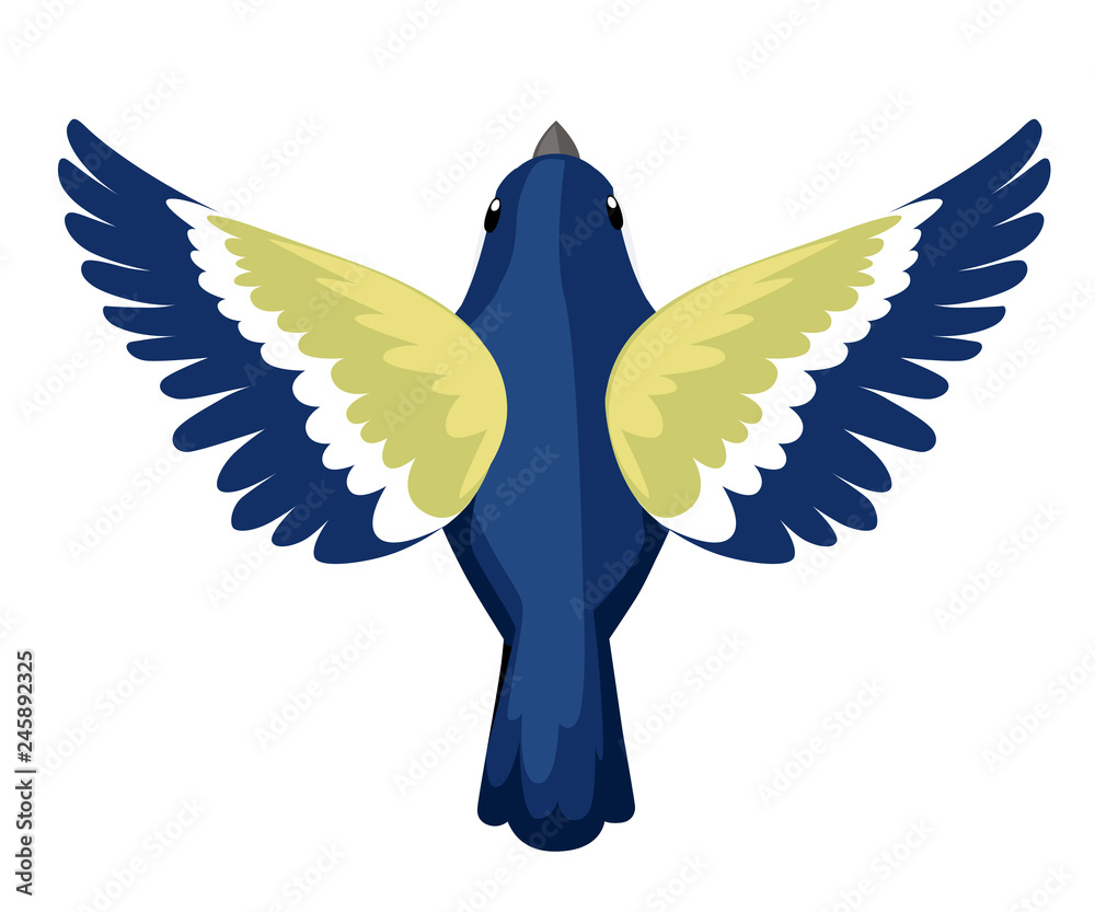 Top view of flying Titmouse bird. Flat cartoon character design ...