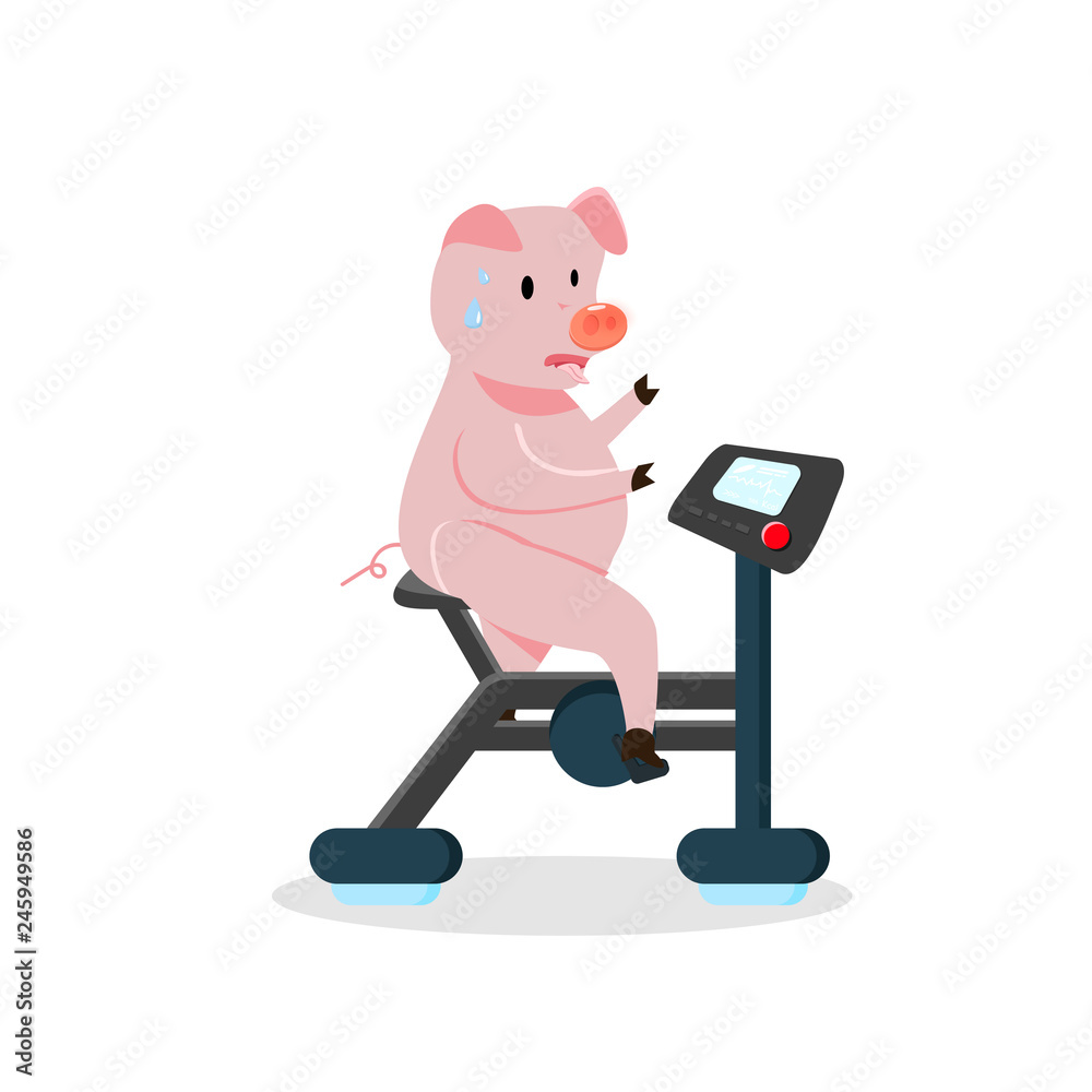 Pig exercise, cycling for healthy diet, cute cartoon characters vector ...