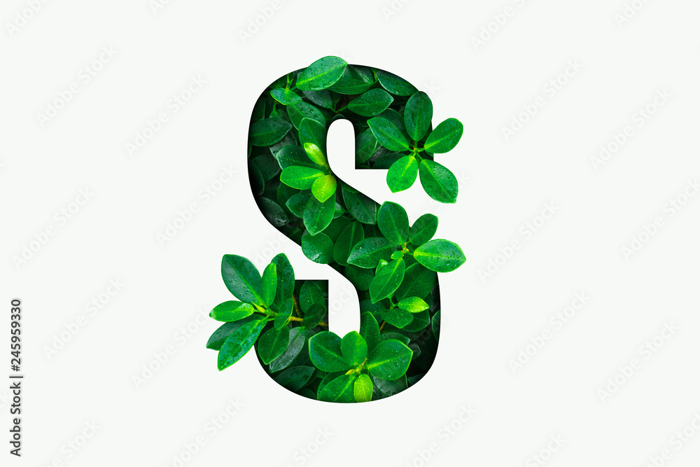 Nature concept alphabet of green leaves in alphabet letter S Stock ...