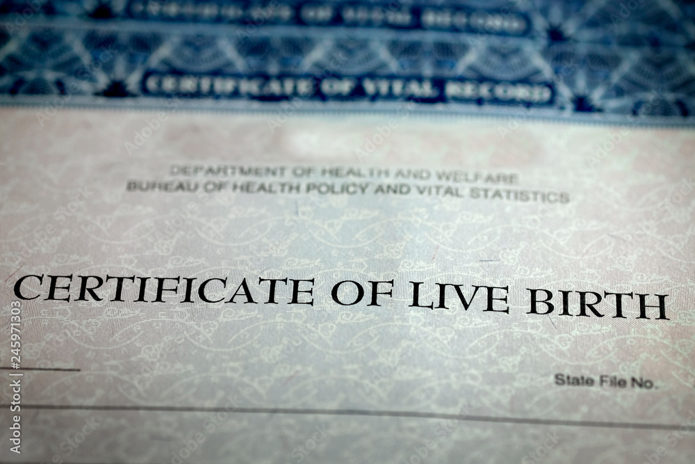 Birth Certificate Form Paper Official Baby Born Stock Photo | Adobe Stock