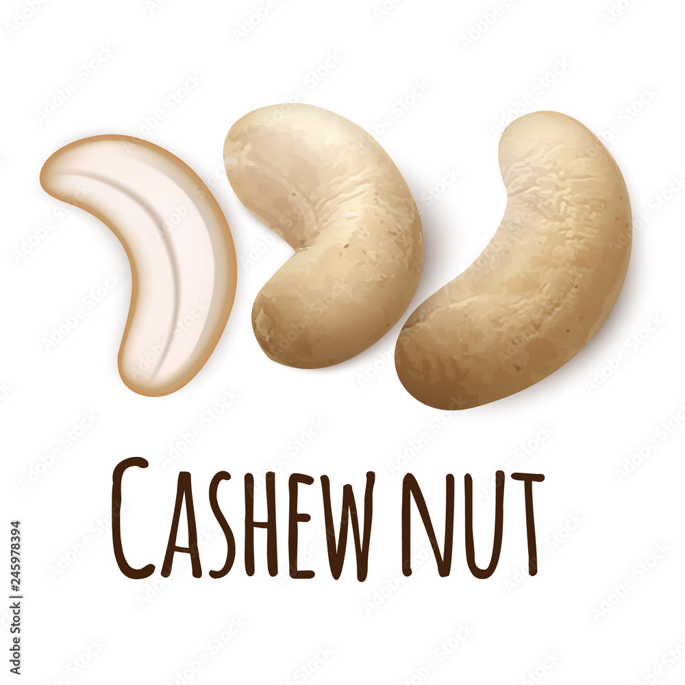Cashew nut icon. Realistic illustration of cashew nut vector icon for ...
