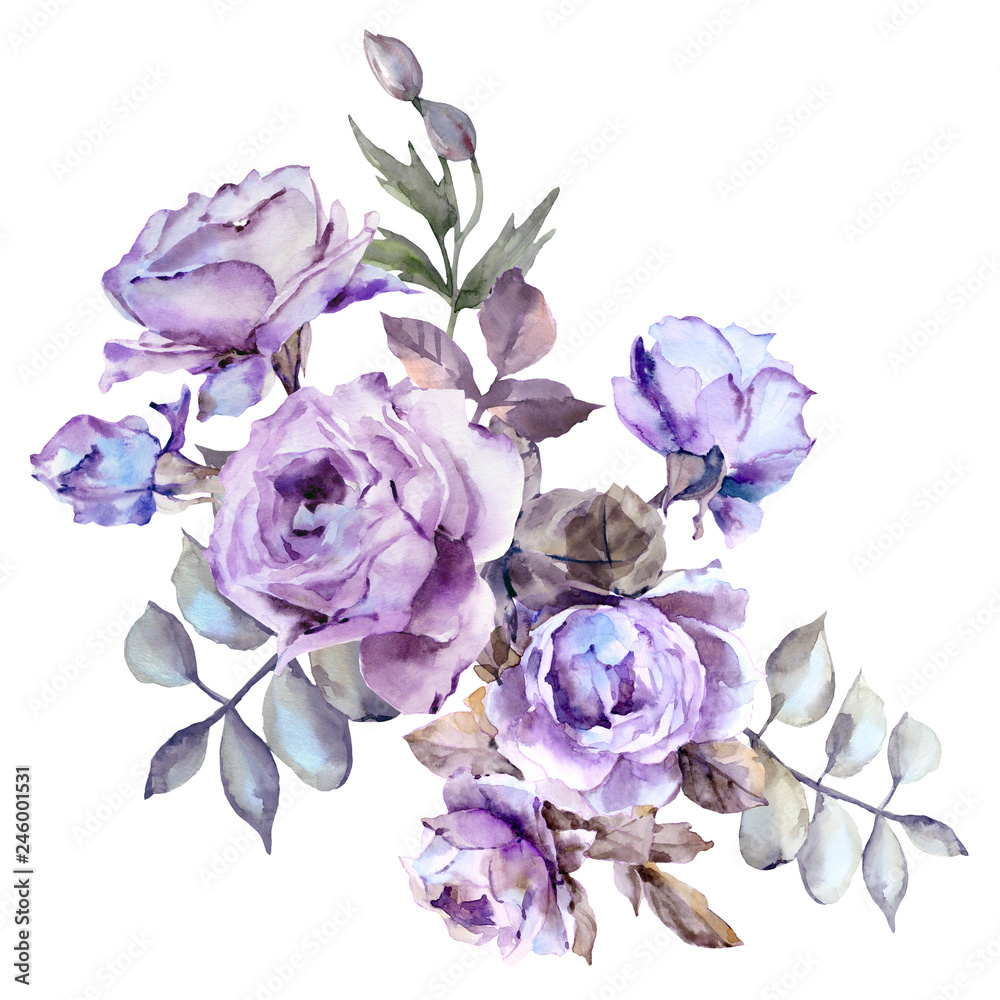 Lilac roses Stock Illustration | Adobe Stock