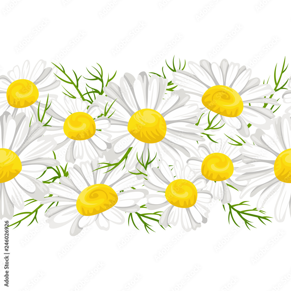 Daisy Clipart Border