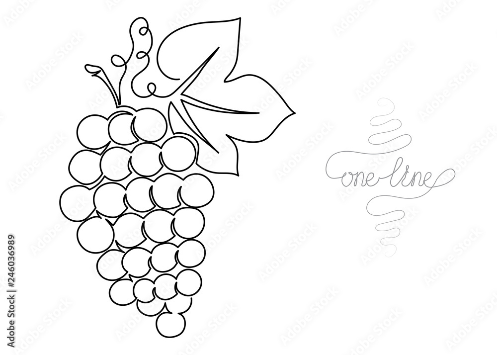 Continuous one line art drawing grapes fruit Stock Vector | Adobe Stock