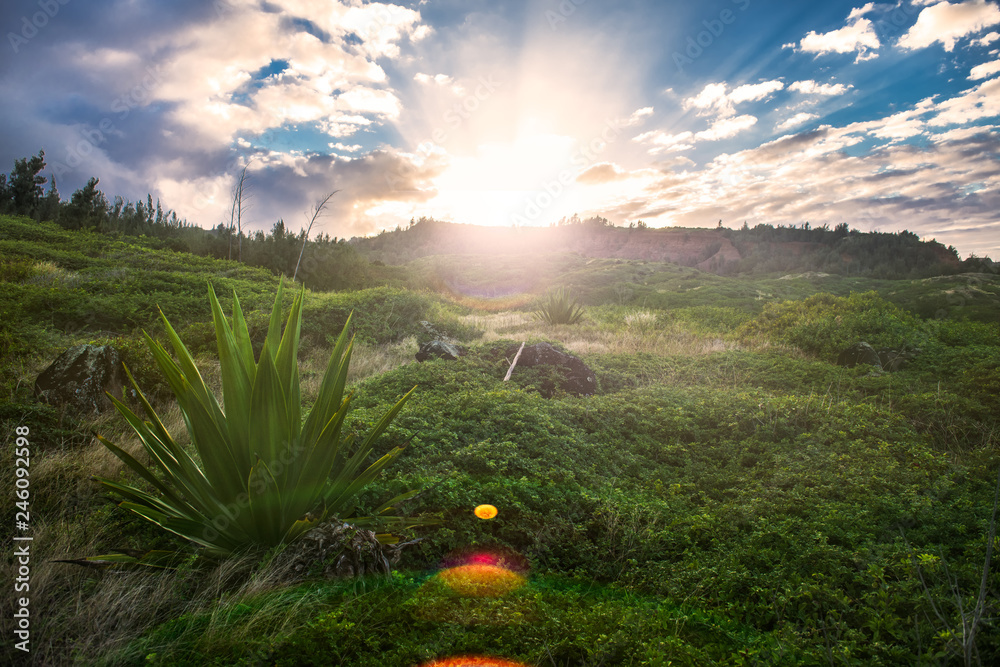 Grass Hill Sunset