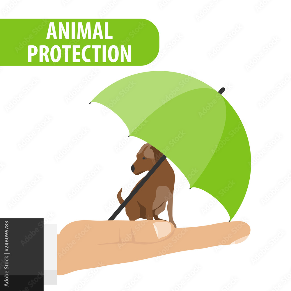 Animal protection. The dog sits on the palm of a man under an umbrella ...