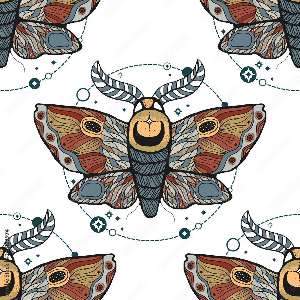 Vector seamless pattern with moth butterfly.Hand-draw illustration ...