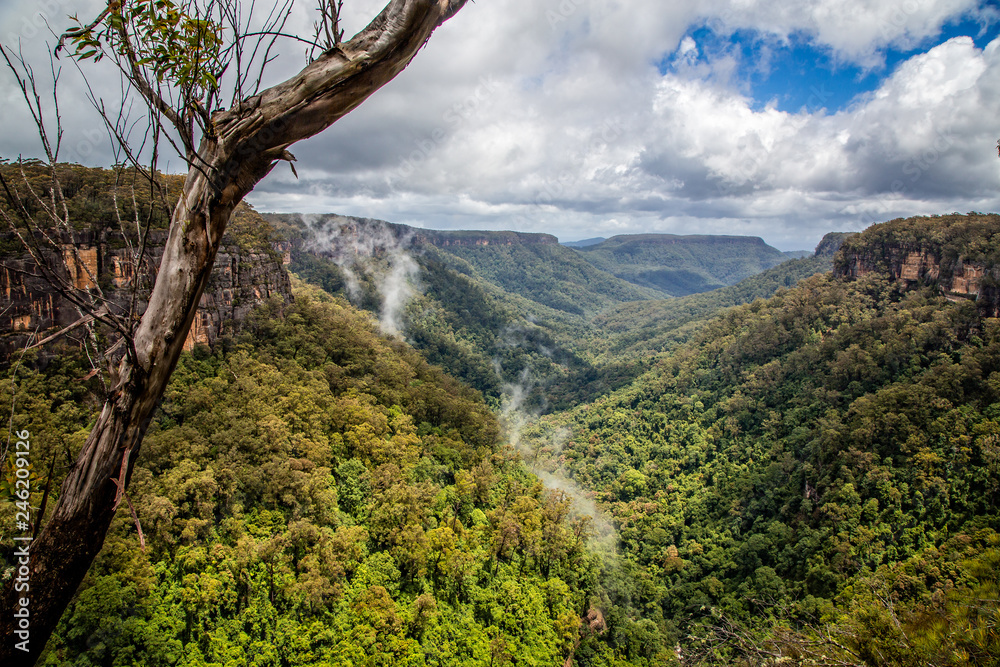 mist and steam rising from the valley floor of Kangaroo Valley in NSW ...