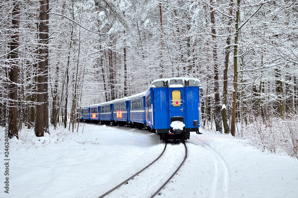 An old vintage train with beautiful blue Passenger cars rides by rail ...
