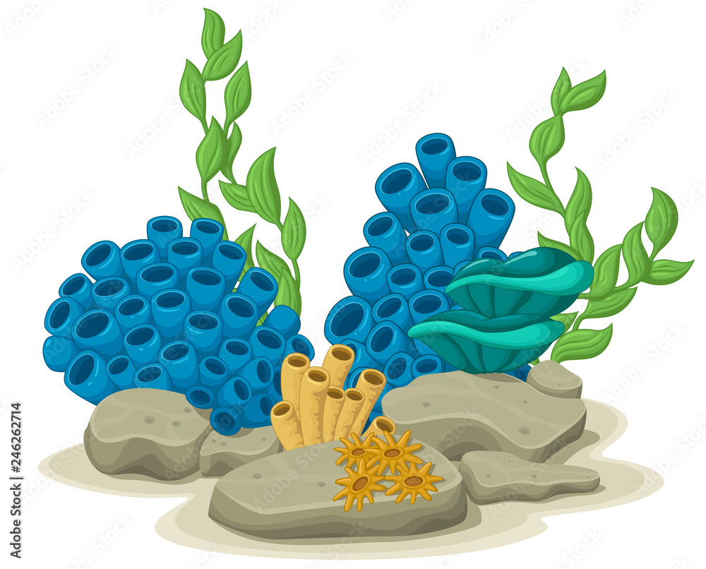 Marine algae, yellow tube sponges and sea anemones growing on a rock ...