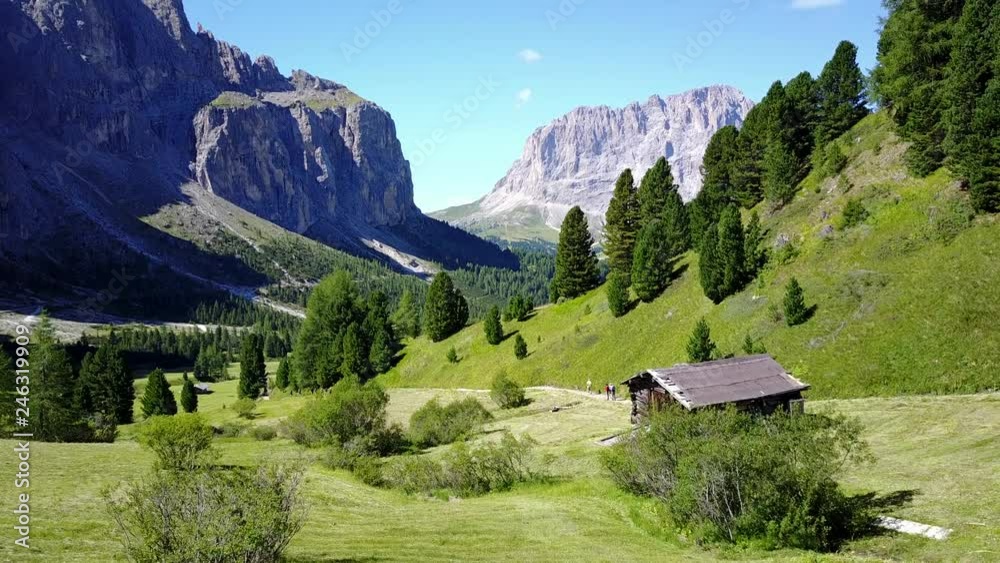 Vidéo Stock Flight through meadows and valley of Passo Gardena toward ...