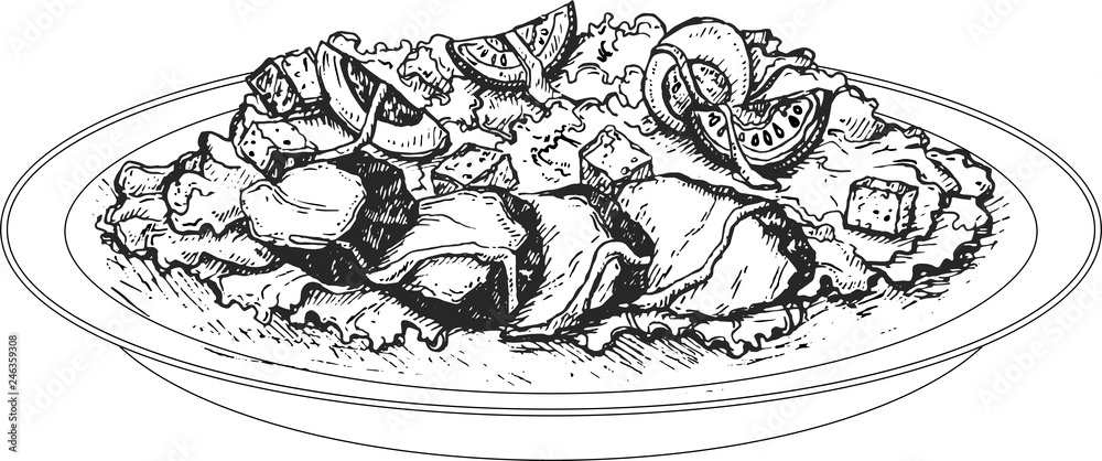 Caesar Salad Drawing