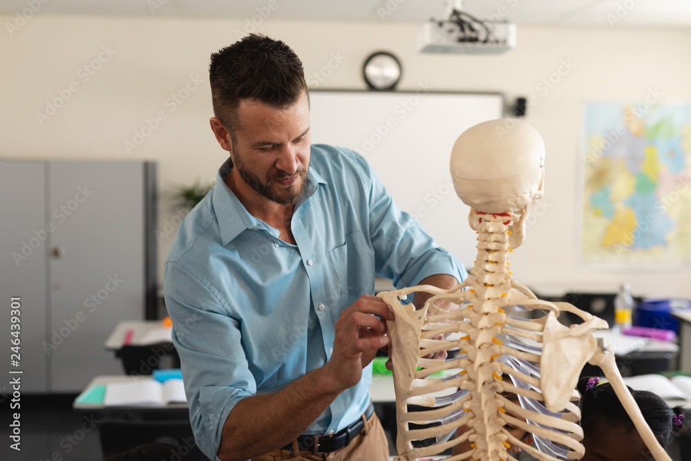 Male teacher fixing skeleton model in classroom Stock Photo | Adobe Stock