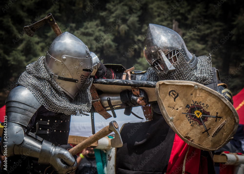 Medieval Knights Fighting